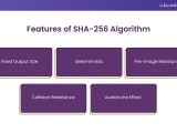Sha 256 Algorithm How It Works And Applications